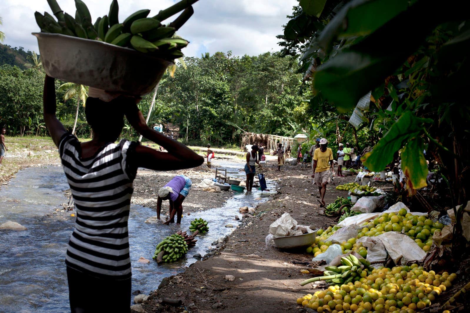 Building a Stronger Haiti with Chocolate - Michigan Engineering News