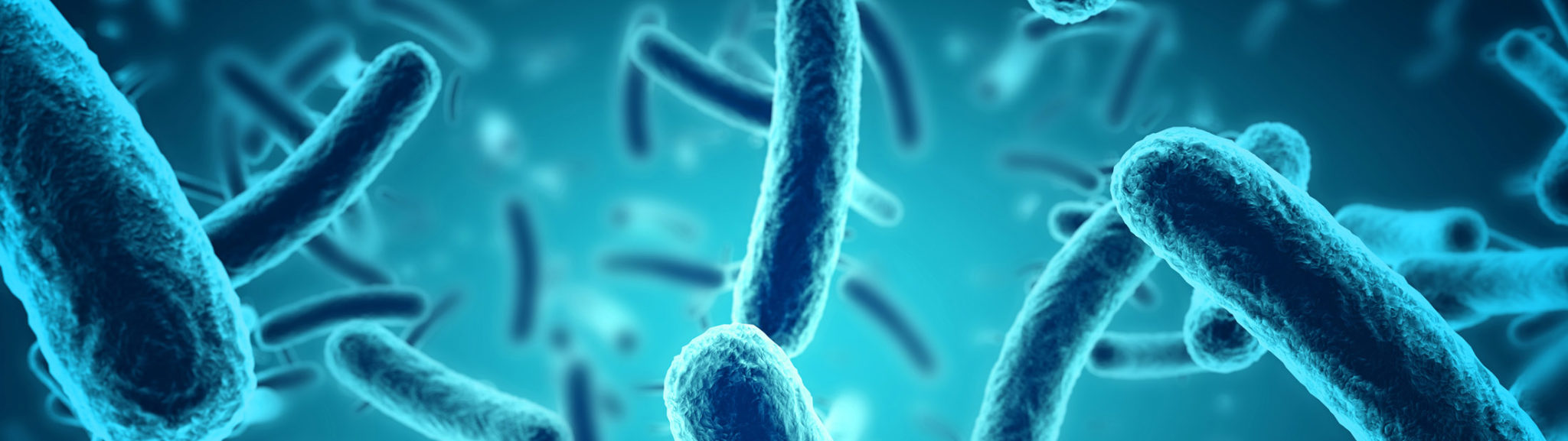 Nightmare bacteria:’ Michigan Engineers discuss how to combat ...