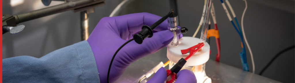 Artificial photosynthesis devices that improve themselves with use ...