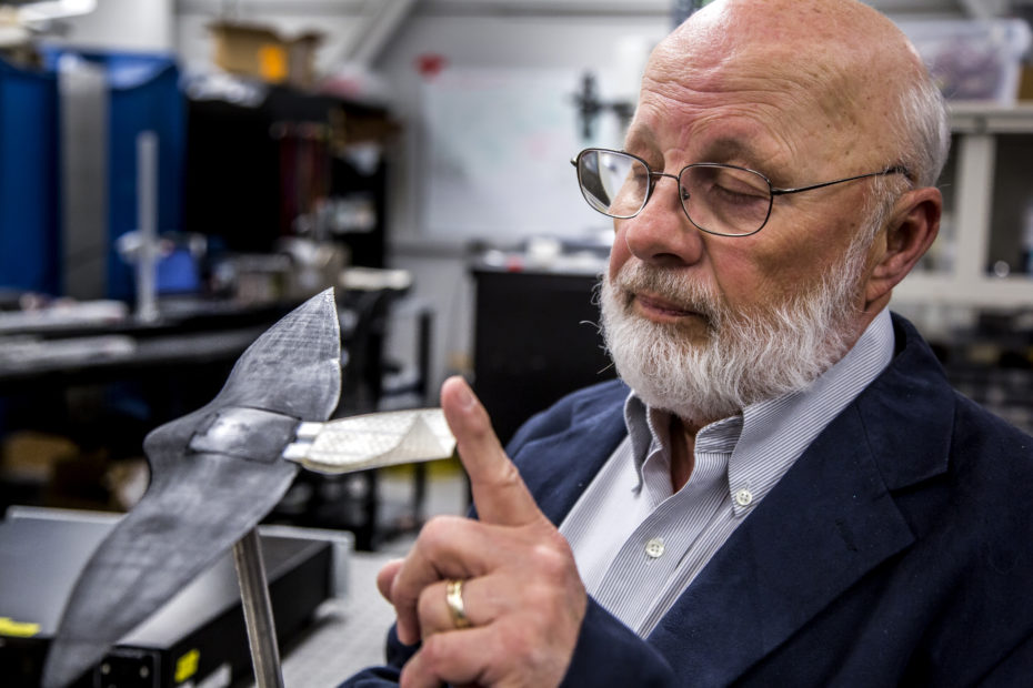 Avian secret: The key to agile bird flight is switching quickly between ...