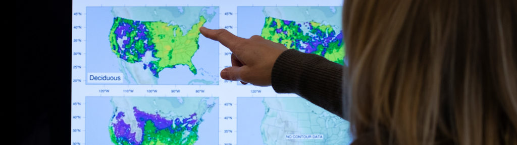 Longer, more intense allergy seasons could result from climate change ...