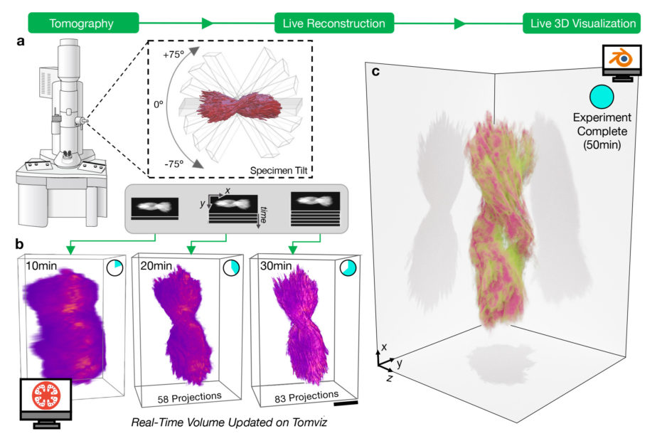 Visualizing nanoscale structures in real time - Michigan Engineering News