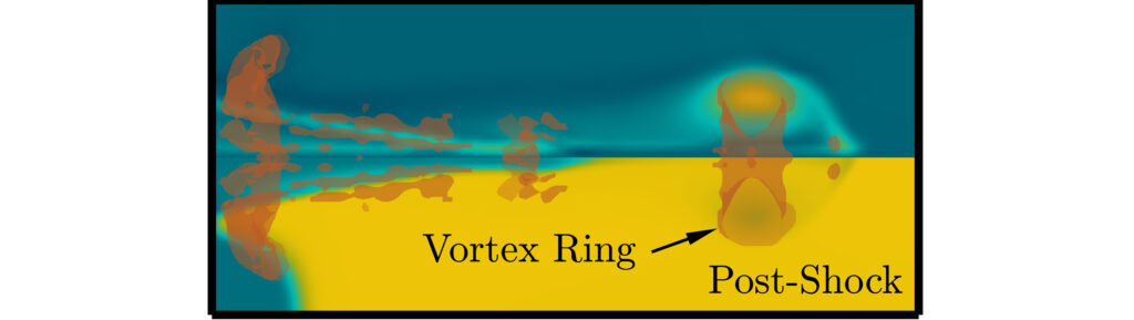 Demystifying vortex rings in nuclear fusion, supernovae - Michigan ...