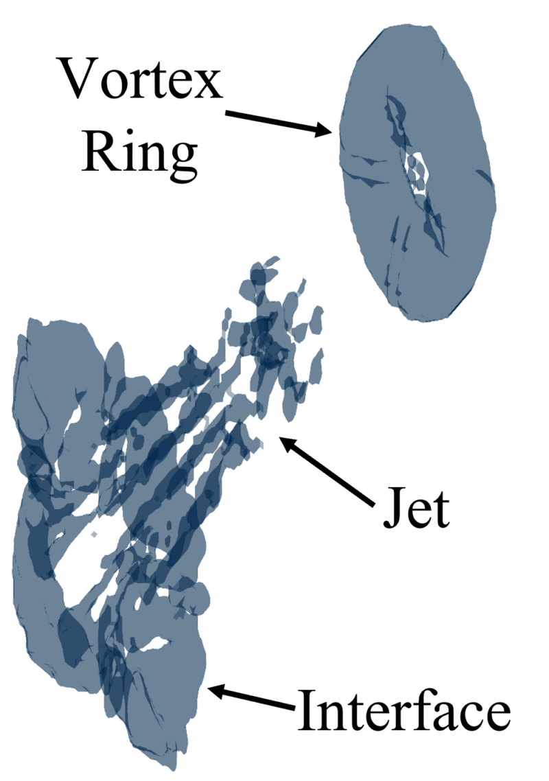 Demystifying vortex rings in nuclear fusion, supernovae - Michigan ...