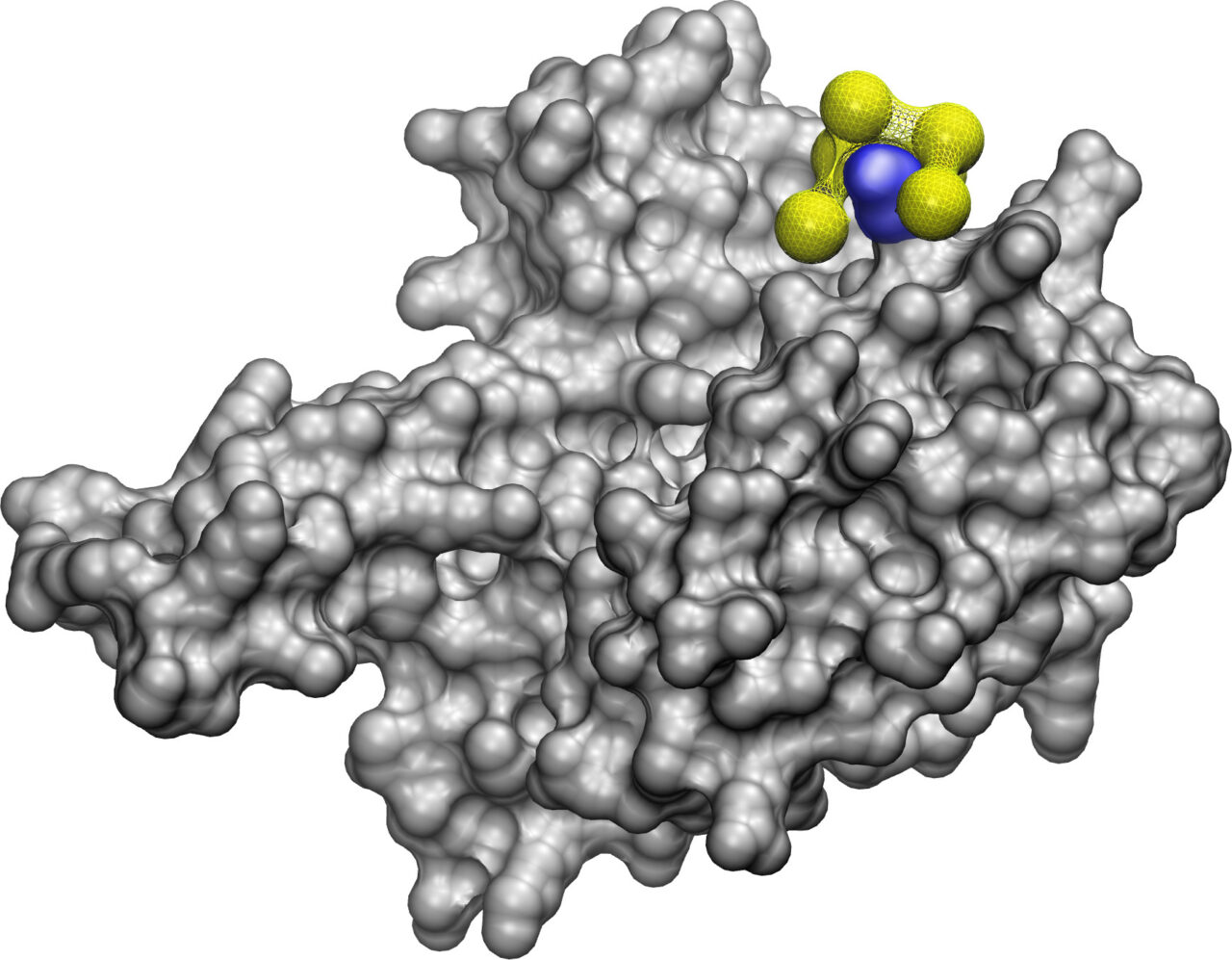 Nanobiotics: AI for discovering where and how nanoparticles bind with ...
