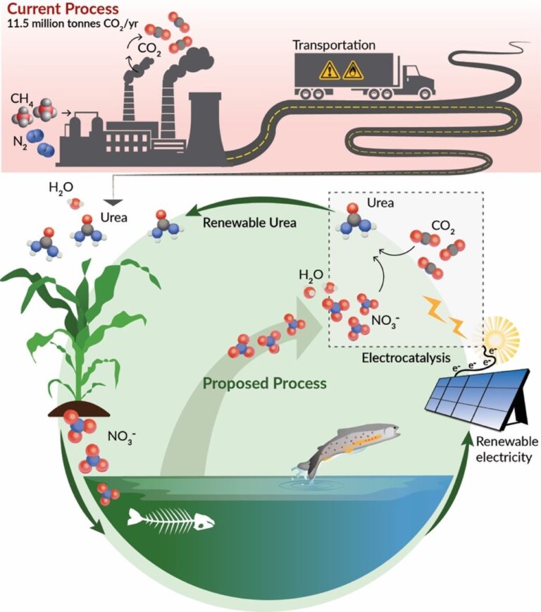 $1.3M to improve urea fertilizer production and reduce CO2 emissions - Michigan Engineering News