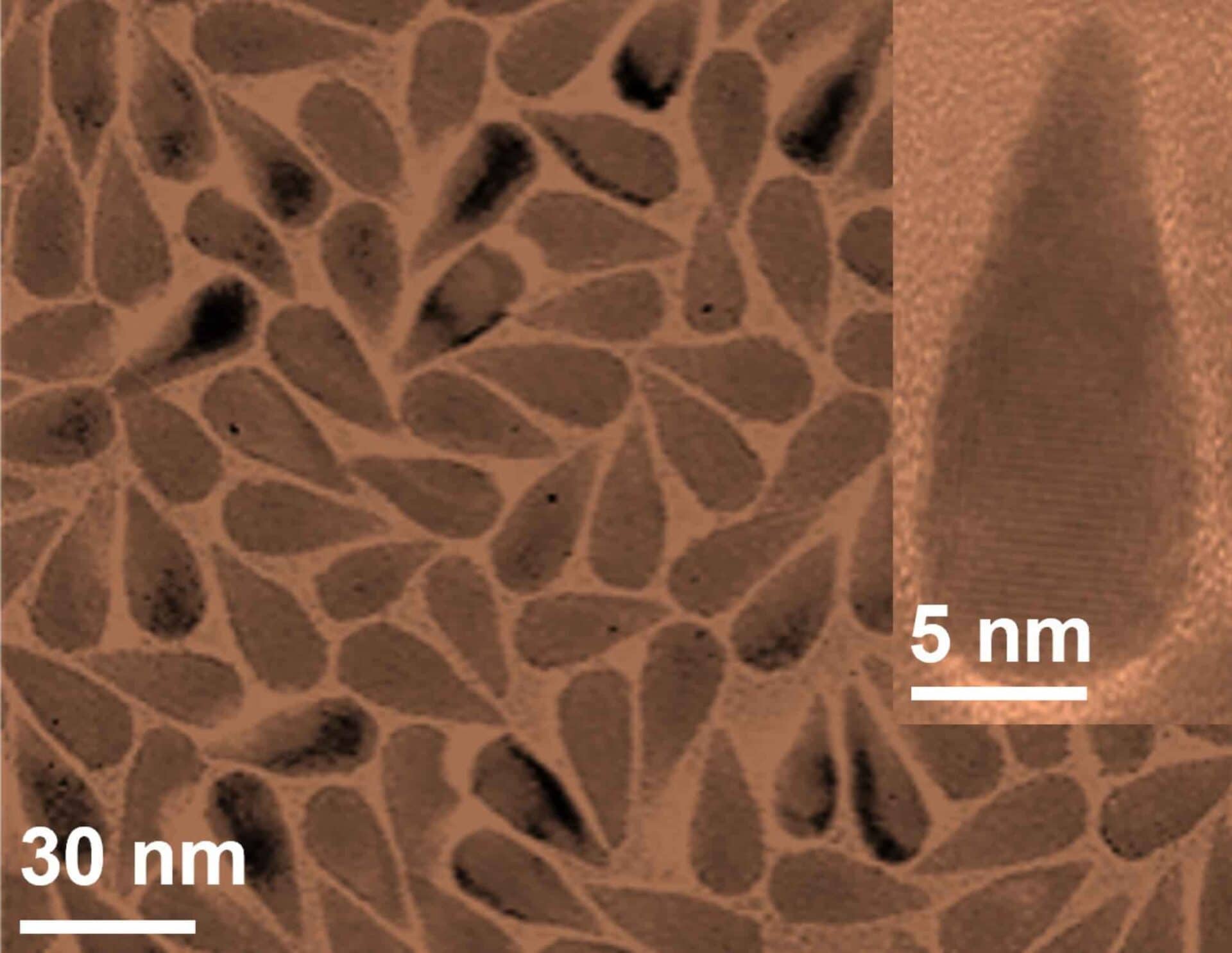 Targeting multiple COVID variants through the twist in the spike ...