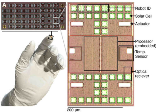 World's smallest programmable robots perform tasks - Michigan ...